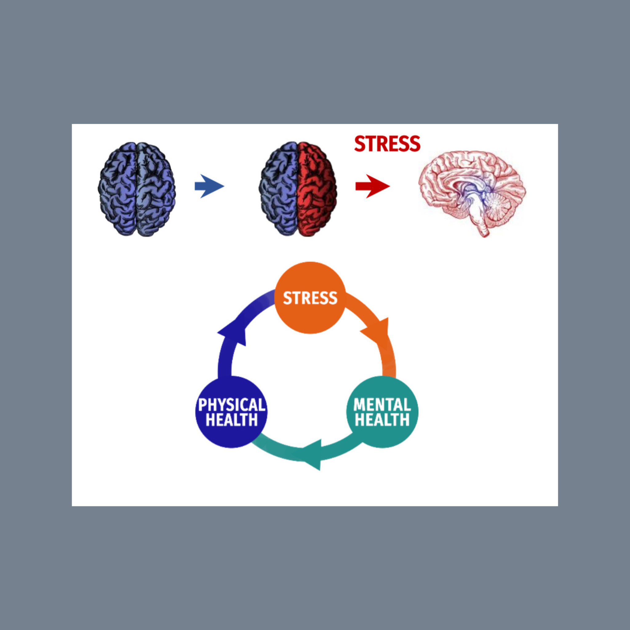 NAP Competencies 360 - Adult – Agility Health Innovations